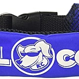 Best Summer Dog Products | POPSUGAR Family