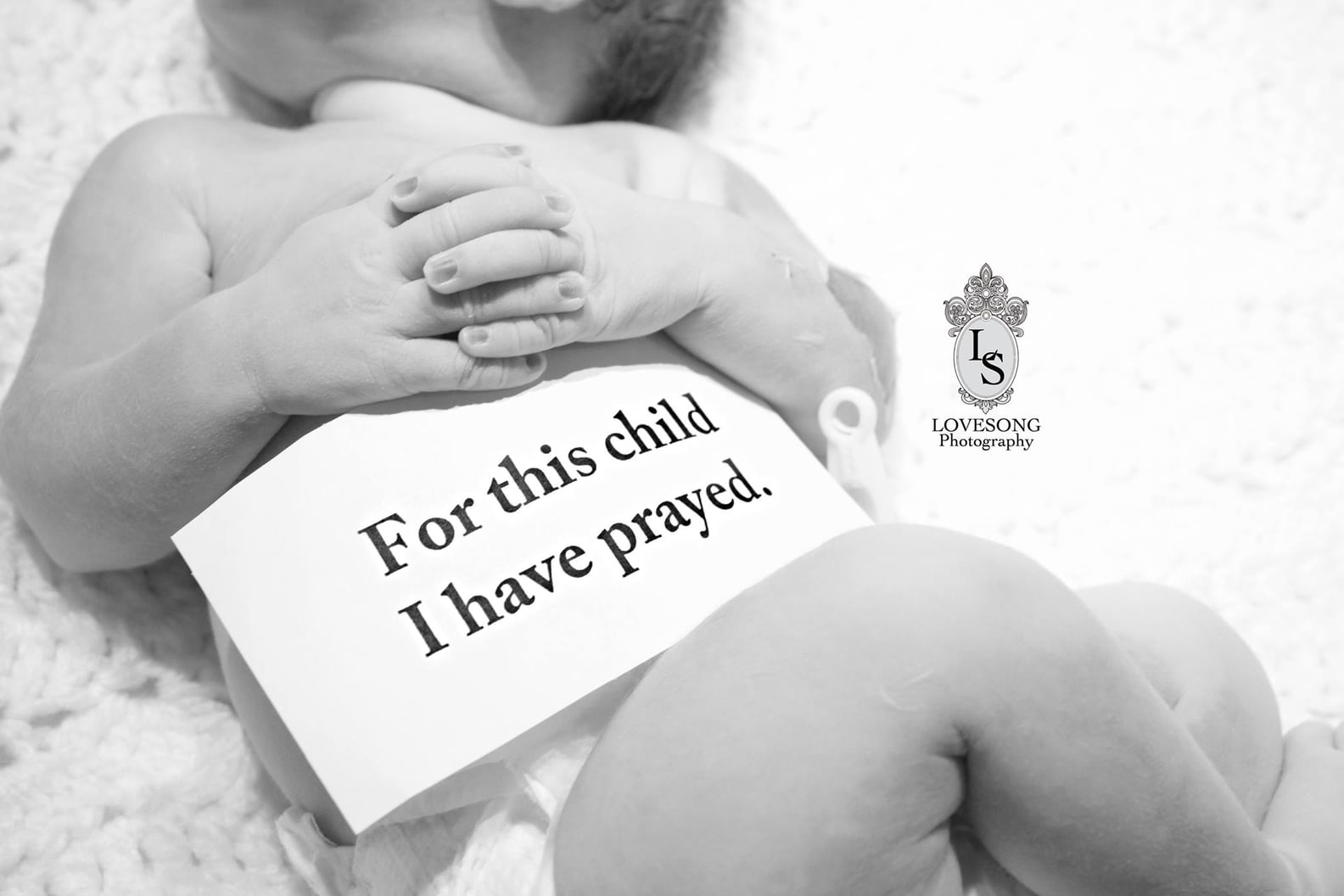 Stillborn Baby Photos | PS Family