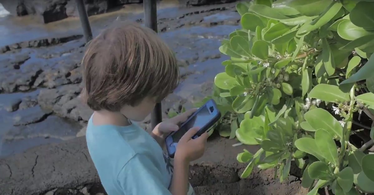 Kids Playing Pokemon Go on Vacation | POPSUGAR Family