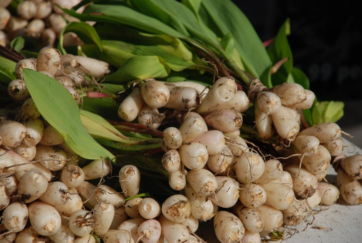 How to Cook With Ramps | POPSUGAR Food