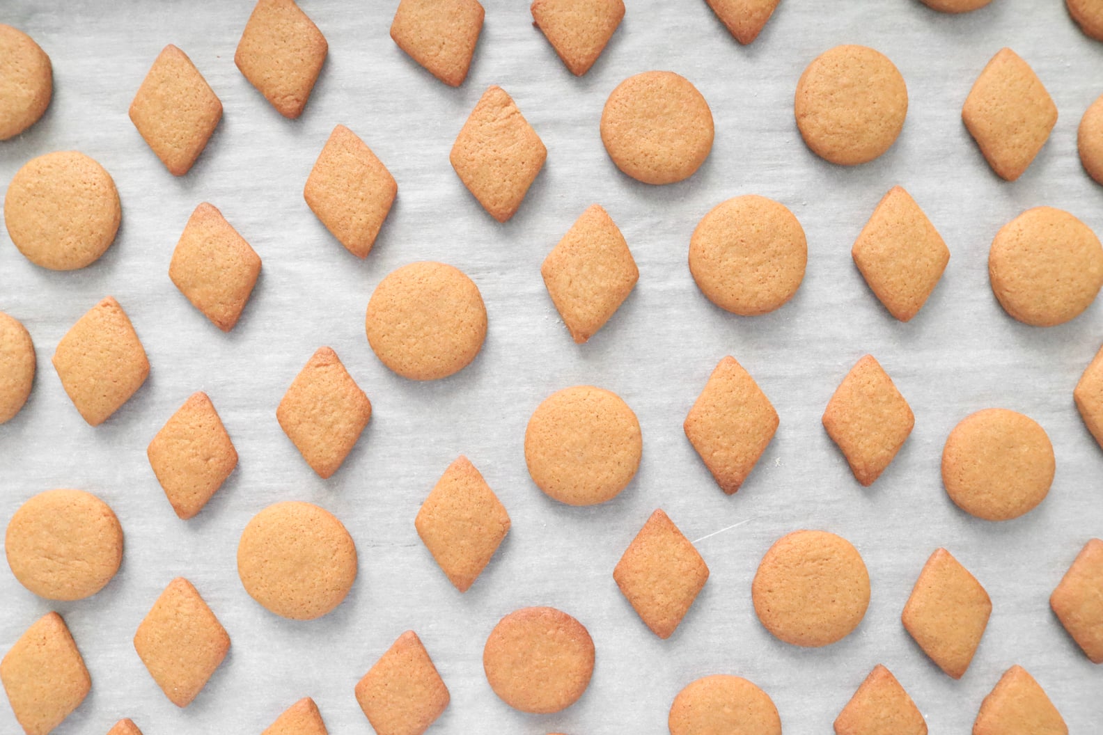 Homemade Dunkaroos Recipe with Photos | PS Food