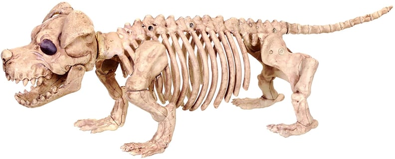 Dog-Skeleton Halloween Decor | POPSUGAR Home