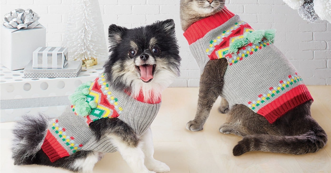 Dog Sweaters at Target | PS Family