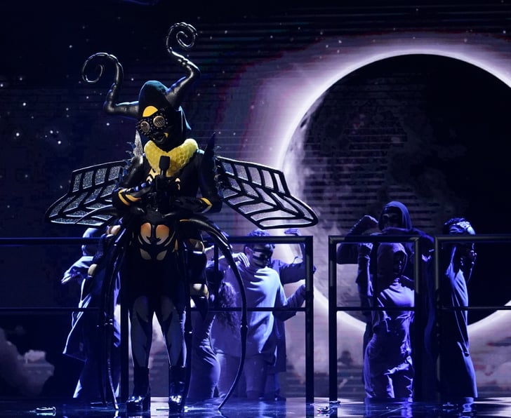 Season 1: The Bee | The Masked Singer: Every Contestant Over the Years ...