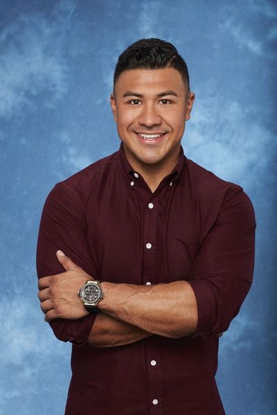 Rachel Lindsay's Bachelorette Contestants 2017 | POPSUGAR Entertainment