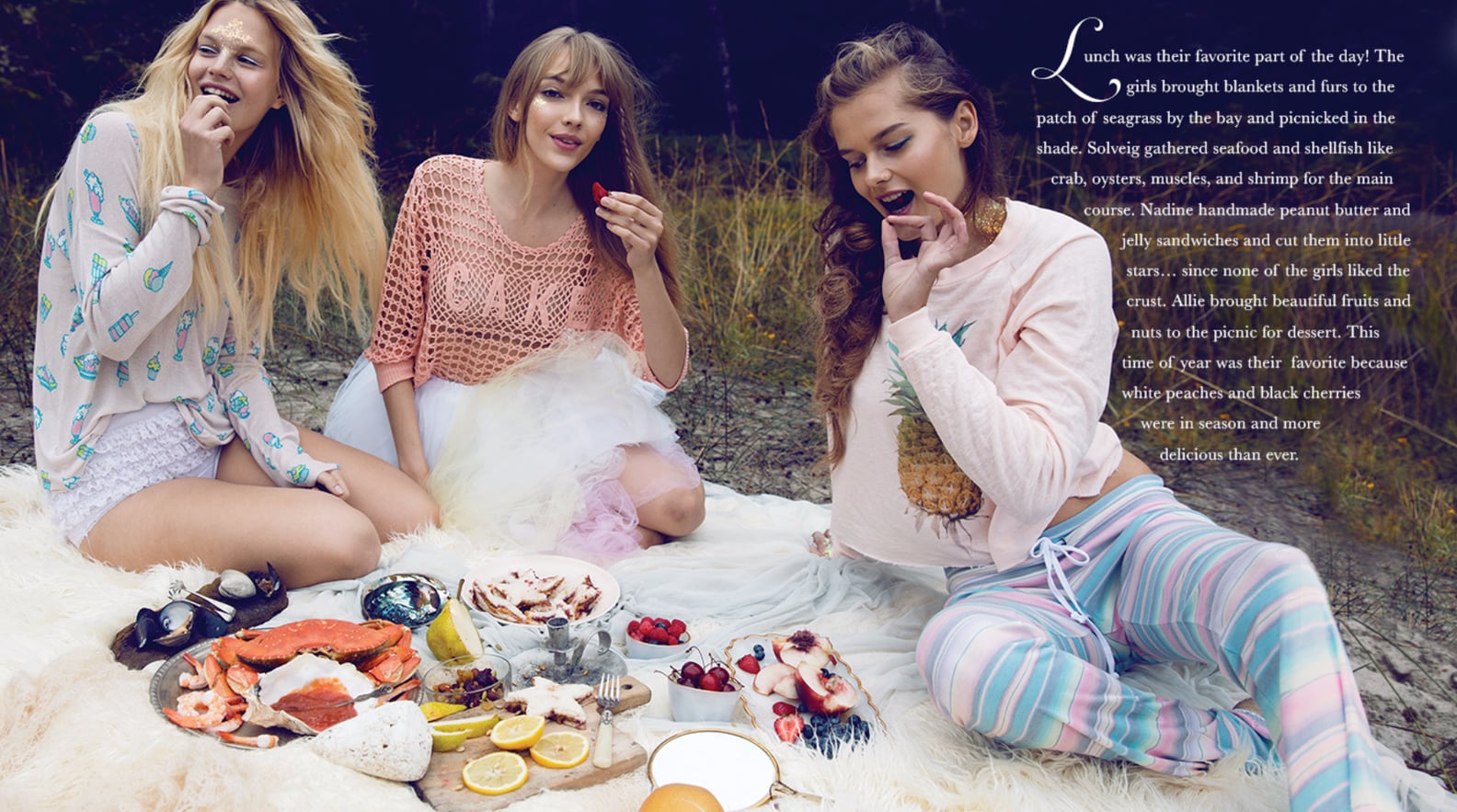 Wildfox Couture Spring 2016 Lookbook | PS Fashion