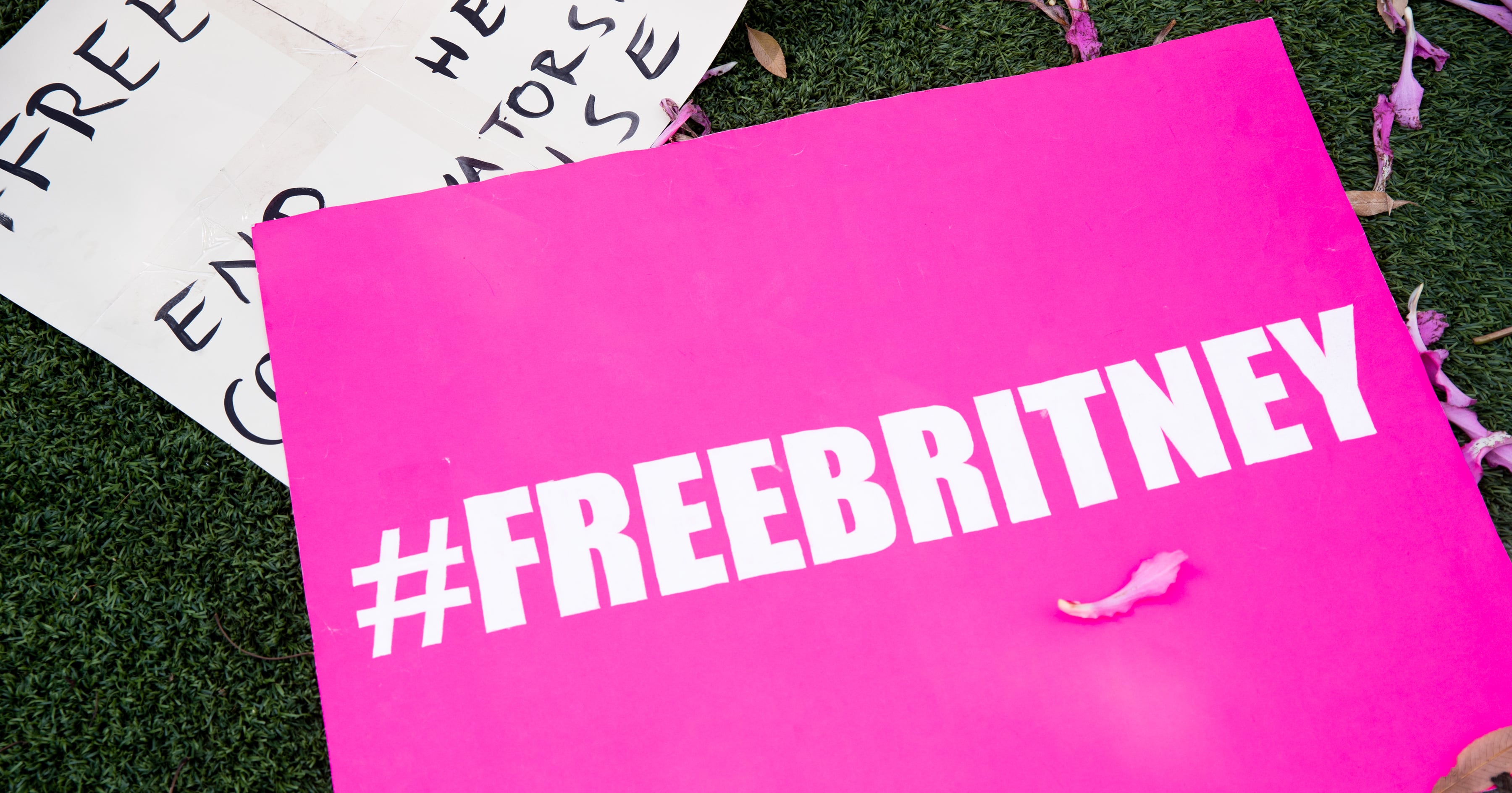 Tess Barker and Barbara Gray Talk Britney Spears and Podcast | PS Celebrity