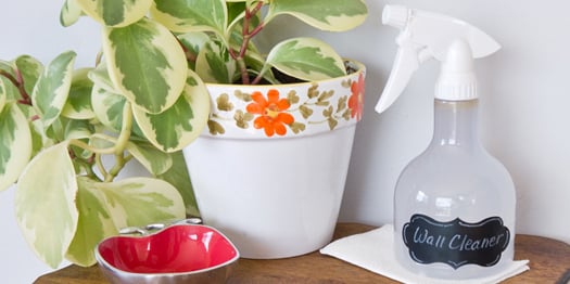 DIY Wall Cleaner | POPSUGAR Smart Living