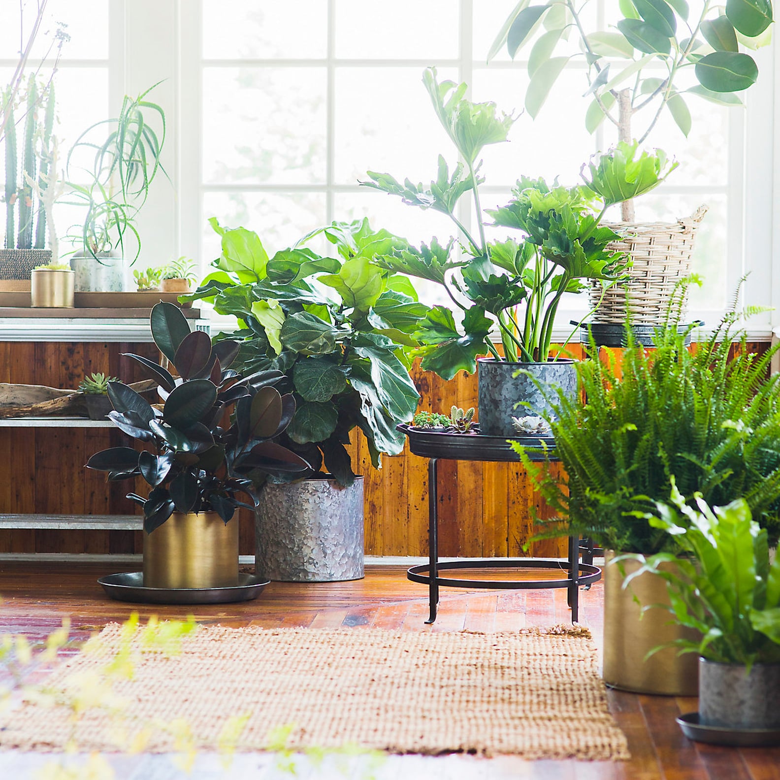 Best Outdoor Planters From Terrain | PS Home