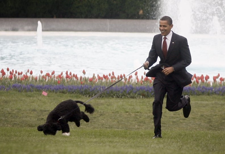 Pictures of Bo and Sunny Obama With the Family | POPSUGAR Celebrity