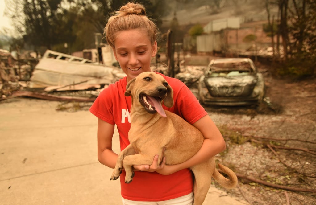 Animals Being Rescued From California Wildfires Nov. 2018 | POPSUGAR Family