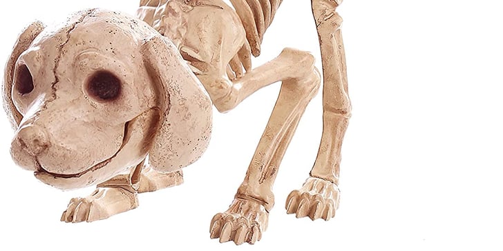 Dog-Skeleton Halloween Decor | POPSUGAR Home