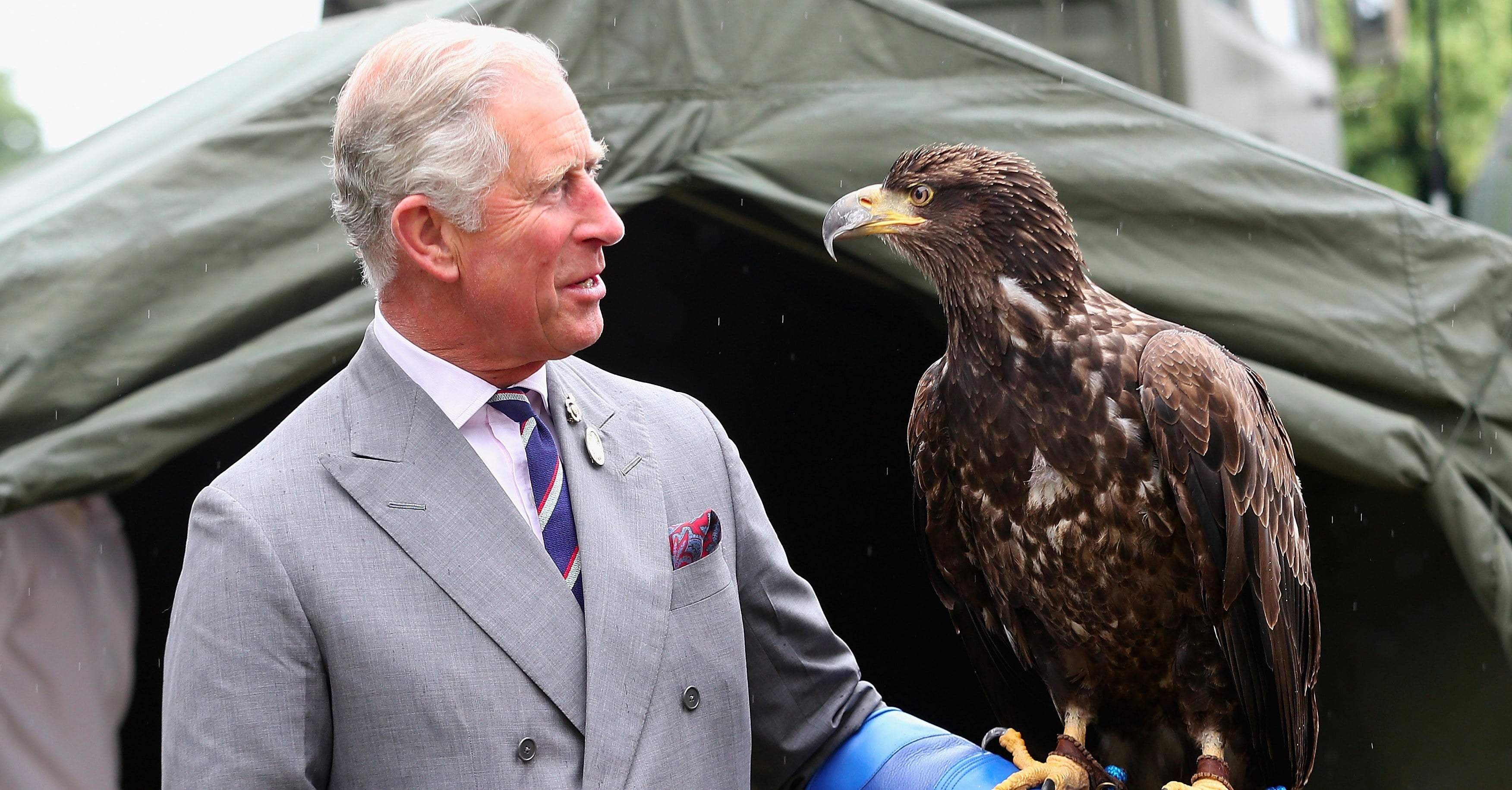 Photos of Prince Charles With Animals | PS Celebrity