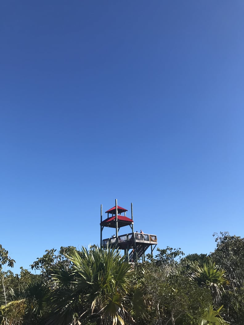 Tips For Visiting Disney's Castaway Cay Private Island | PS Family