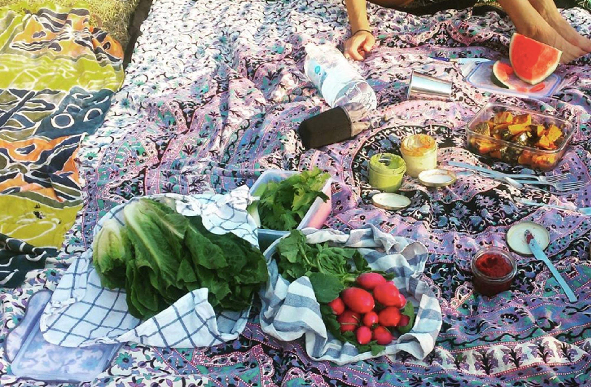 Healthy Picnic Ideas | PS Fitness