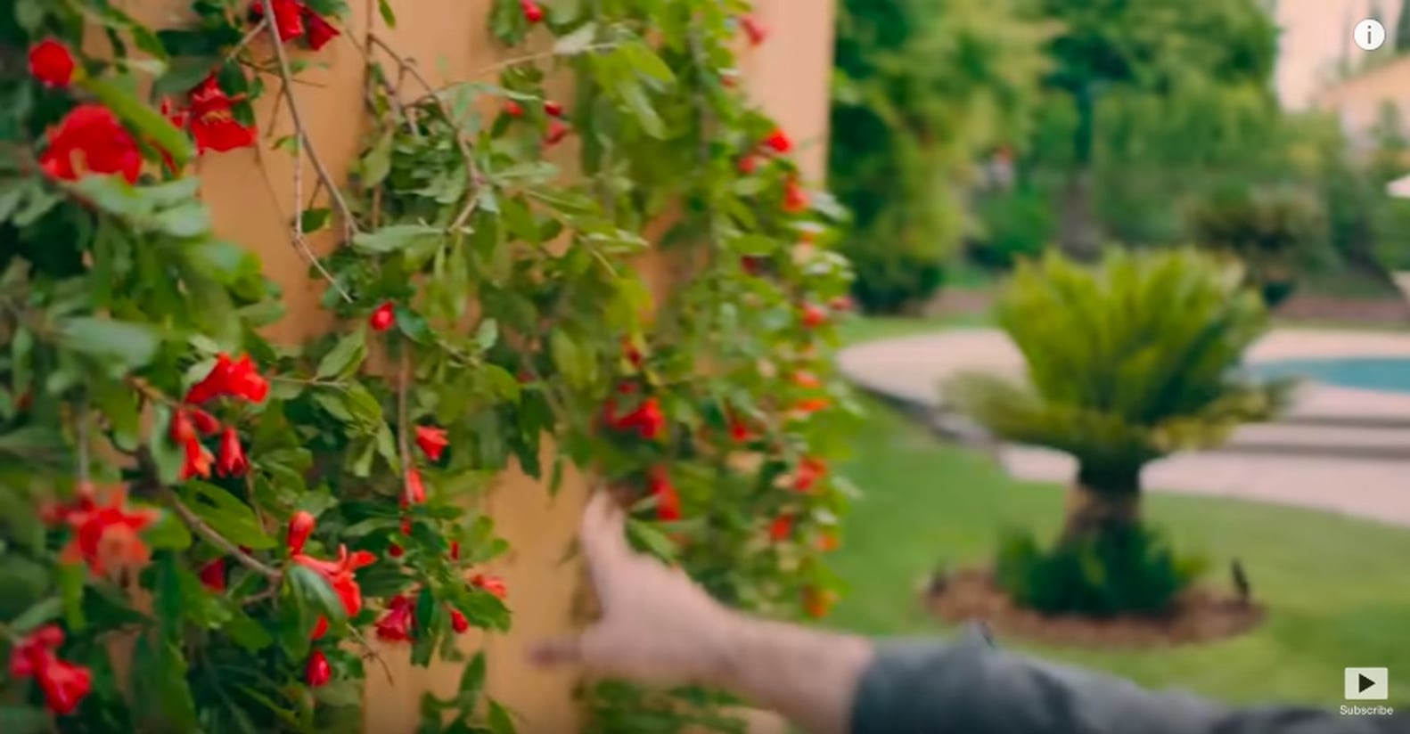 Photos of Zendaya's House | POPSUGAR Home