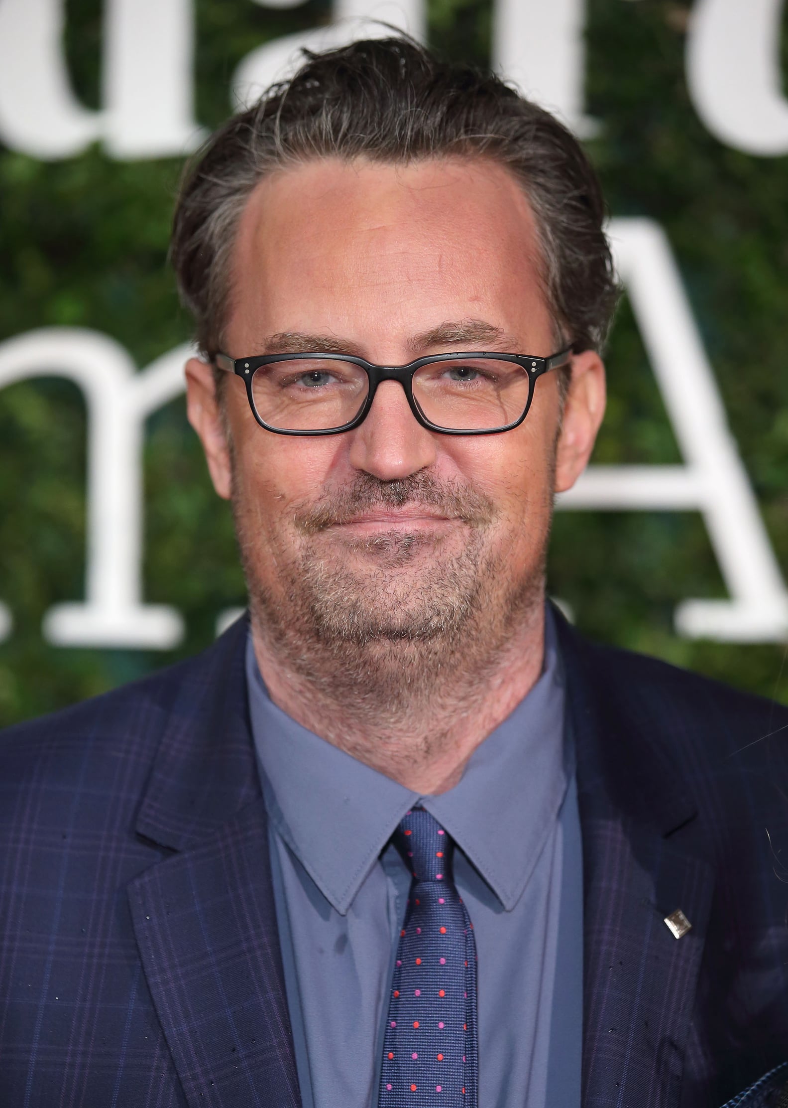 Matthew Perry and Molly Hurwitz Are Engaged | PS Celebrity