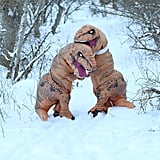 T-Rex Engagement Photo Shoot | POPSUGAR Love & Sex