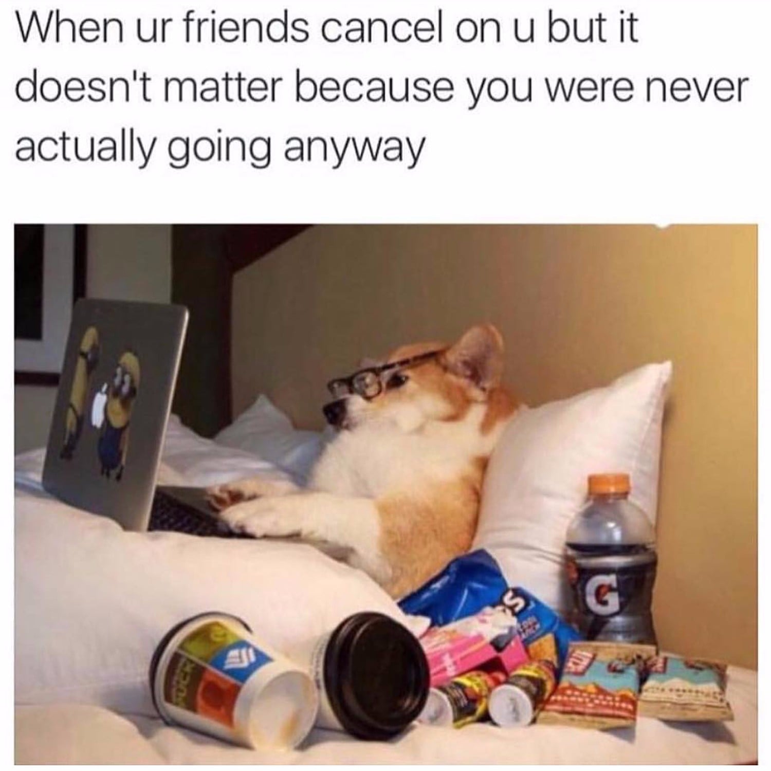 Memes About Staying In | PS Smart Living