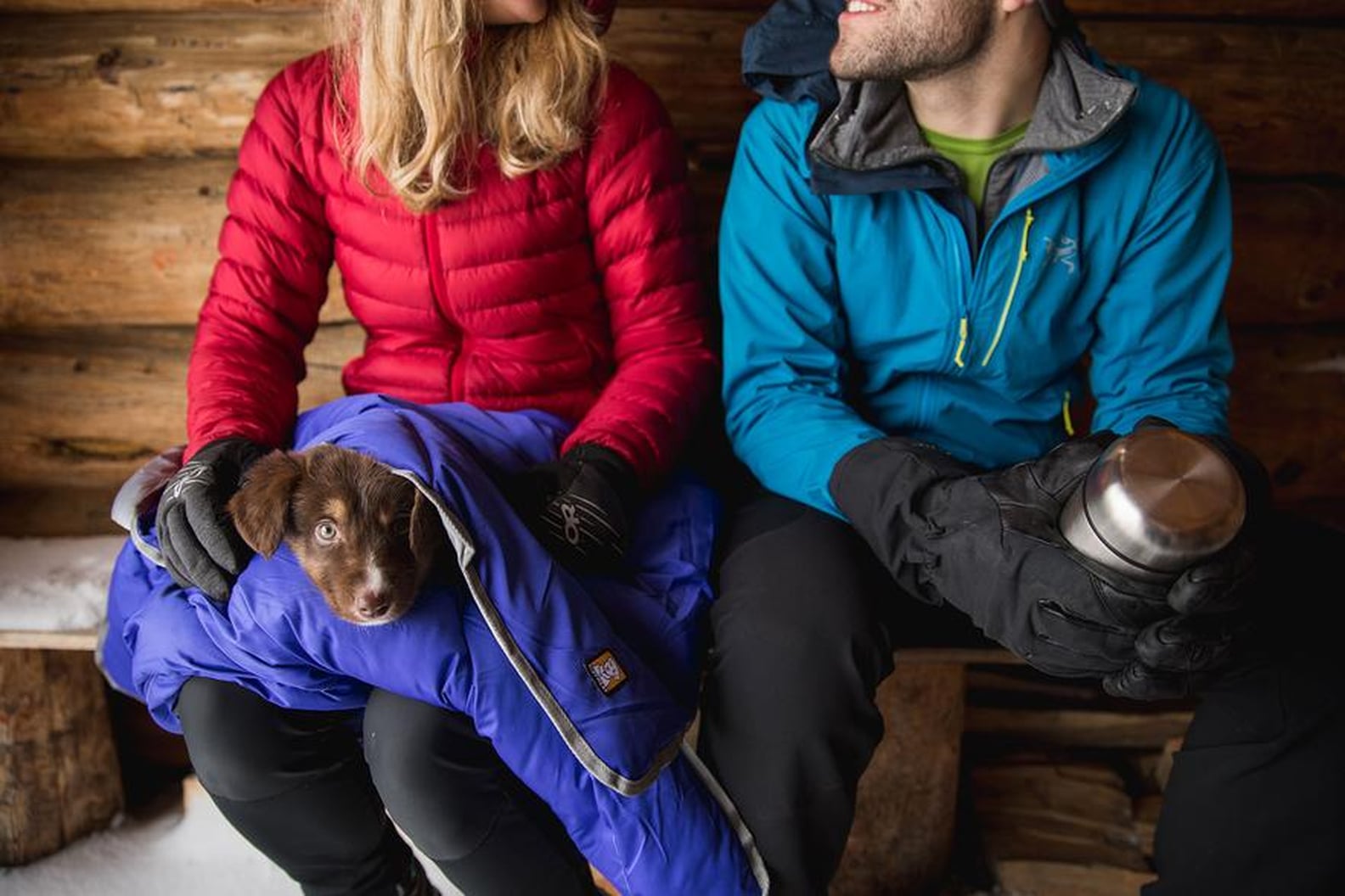 Best Travel Products For Pets | PS Family