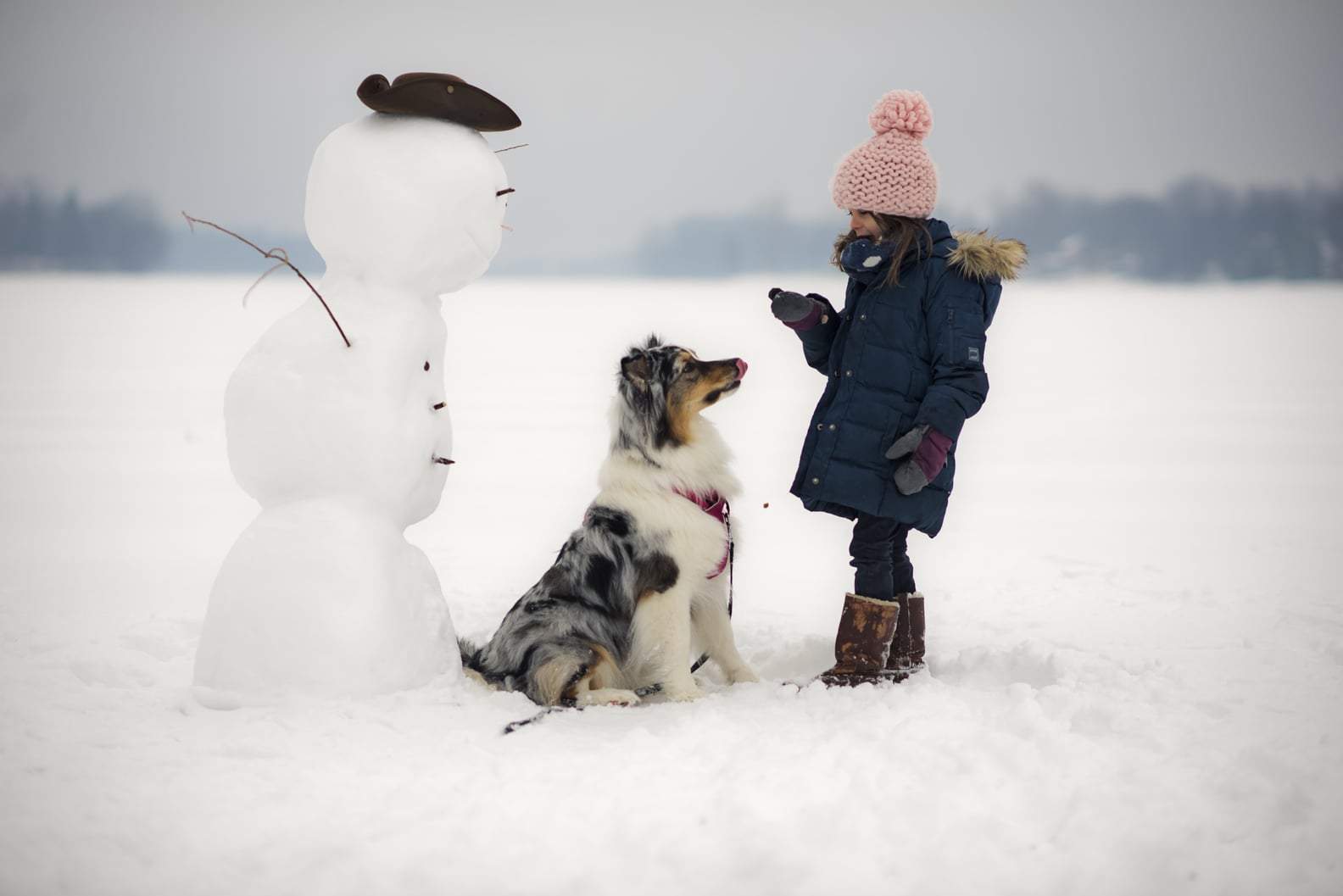 Cute Photos of Dogs in the Winter | PS Pets