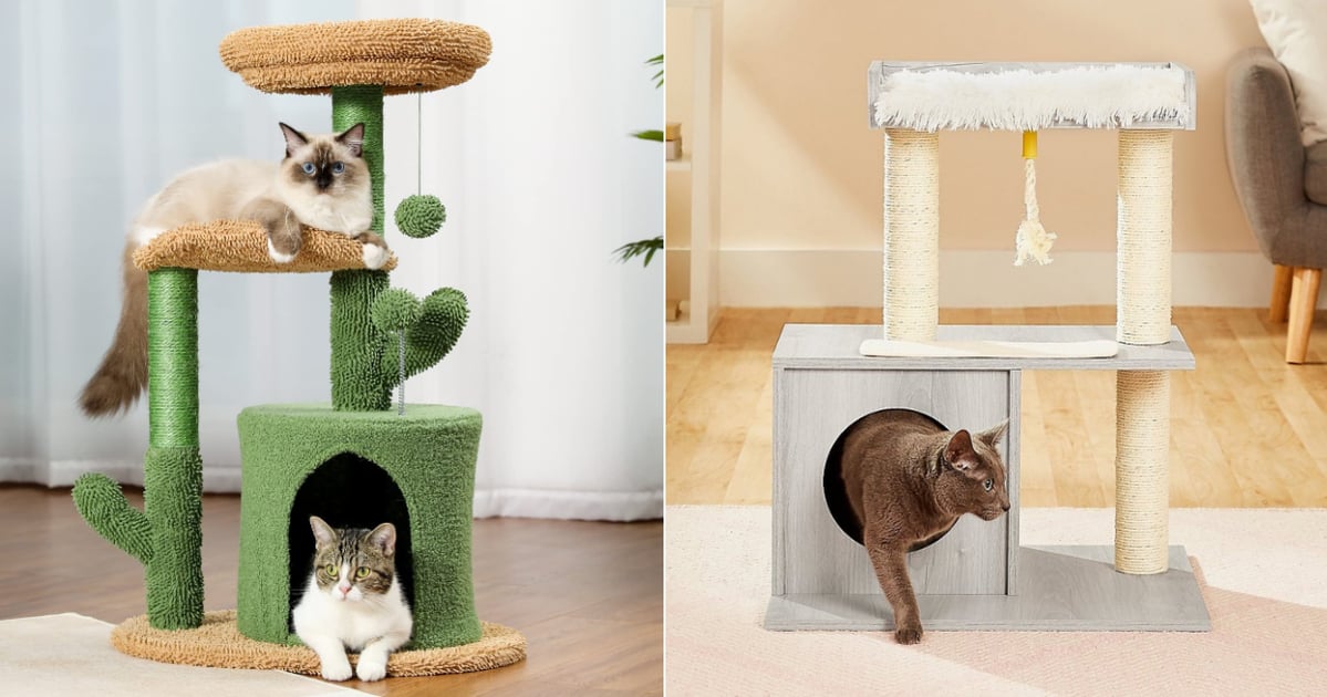 Best Modern and Stylish Cat Trees | 2024 Guide | POPSUGAR Pets