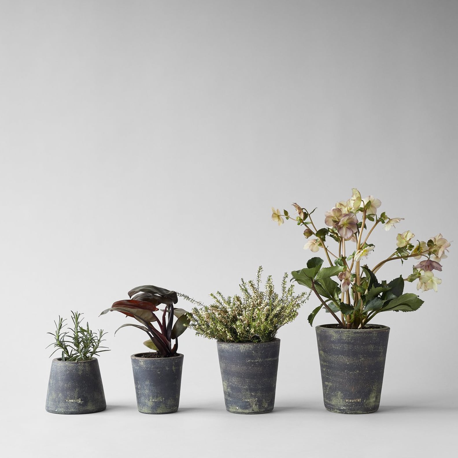 The Best Gifts From Bloomist | PS Smart Living