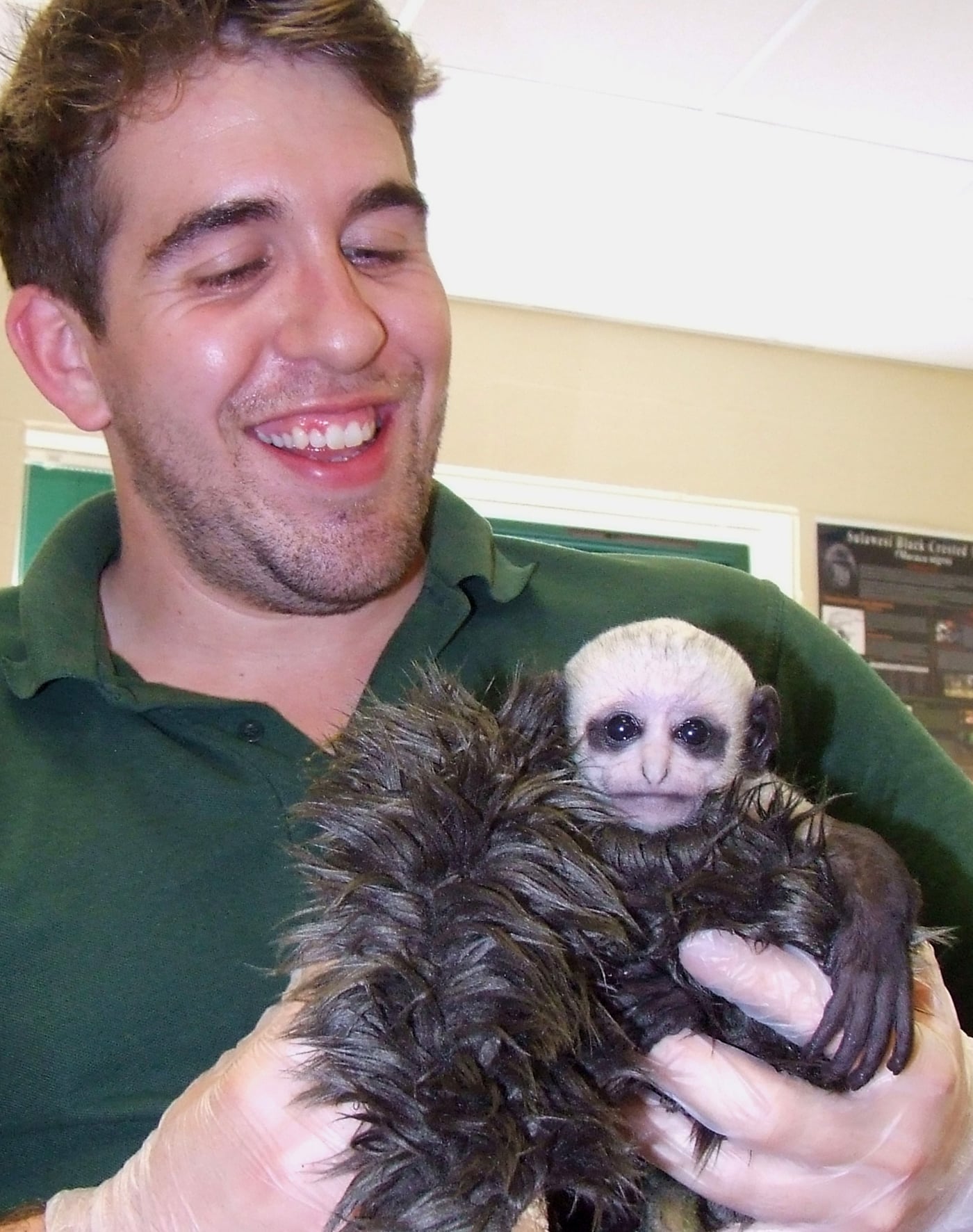 Monkey That Looks Like Voldemort | POPSUGAR Tech