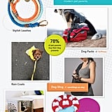 2017 Dog Trends | POPSUGAR Pets