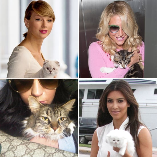 Celebrity Cat Ladies | Pictures | POPSUGAR Celebrity