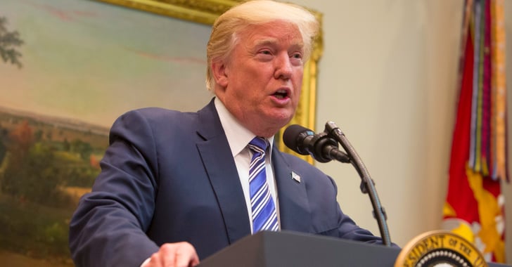 Donald Trump's Local Milk People Quote | POPSUGAR News