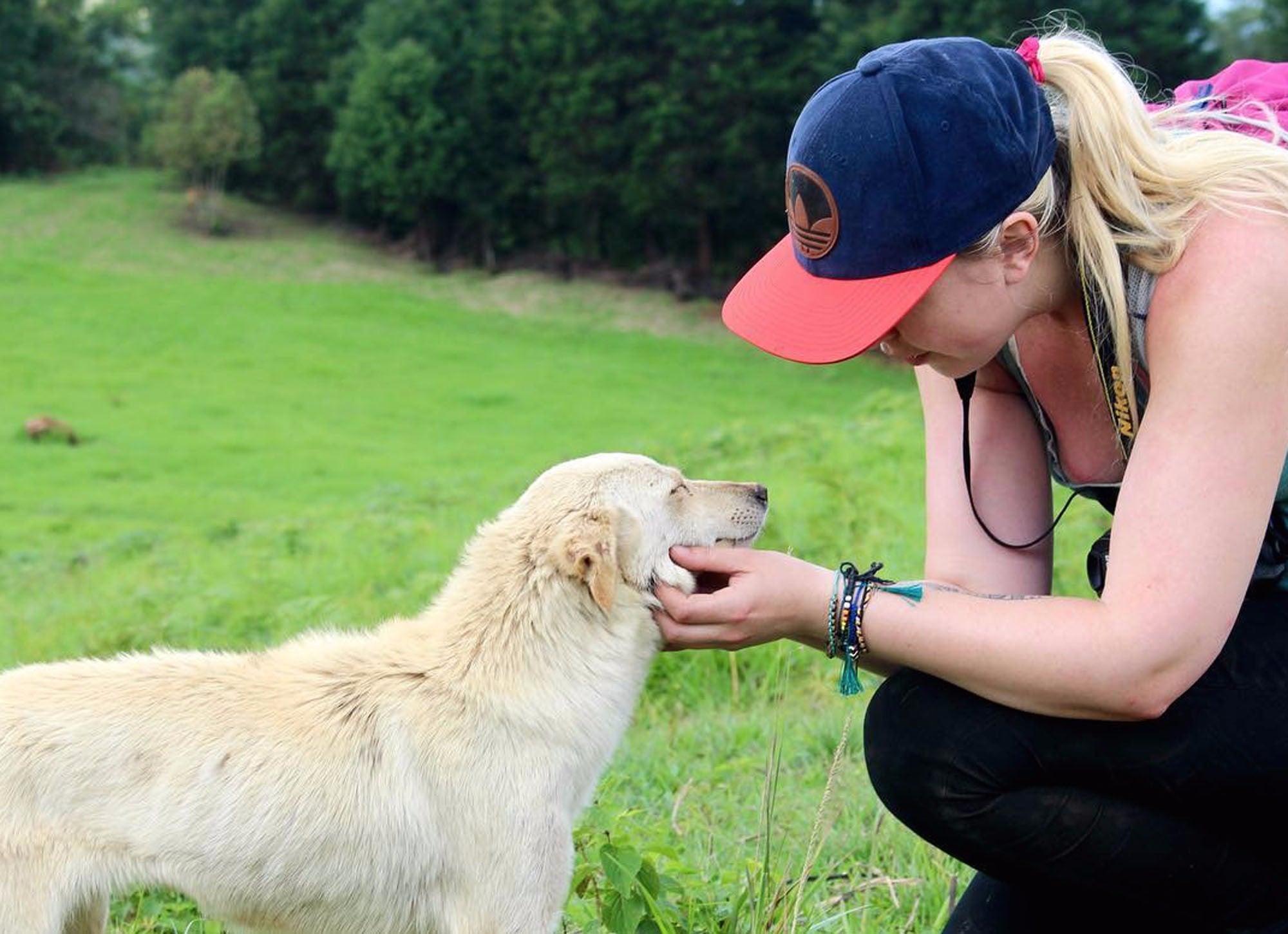 Territorio de Zaguates in Costa Rica | PS Smart Living