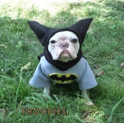Batman | Superhero Costumes For Dogs | POPSUGAR Pets Photo 7