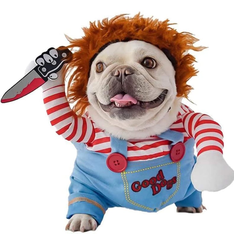 The Best Halloween Costumes For Pets | PS Pets