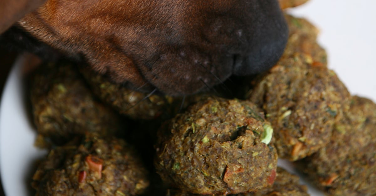 Dog-Friendly Meatball Recipe | PS Pets