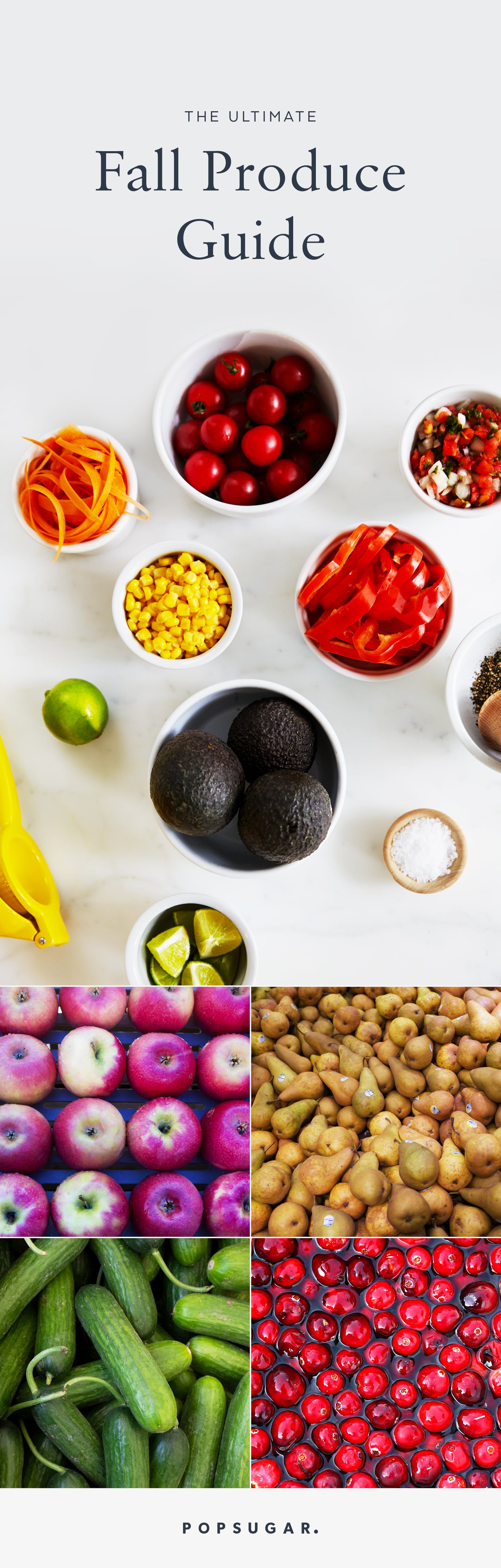 Fall Produce Guide | PS Food