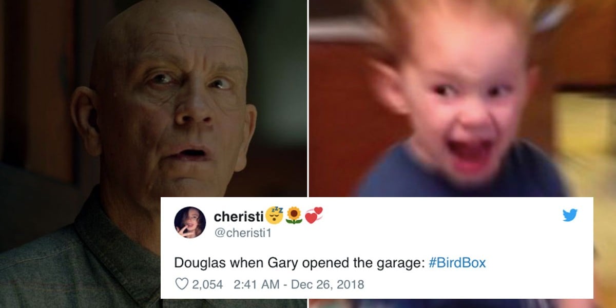 Bird Box Netflix Movie Memes | PS Entertainment