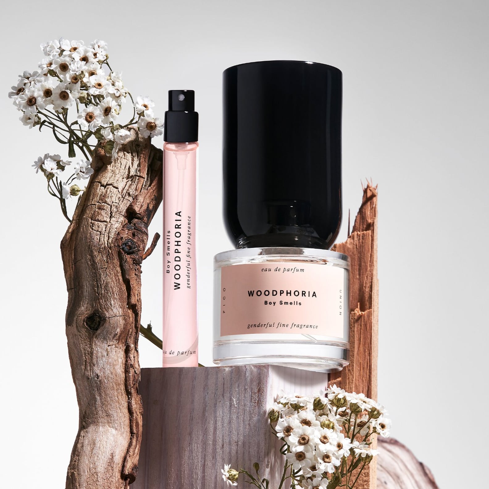 Shop the Boy Smells x Sephora Debut Collection | PS Beauty