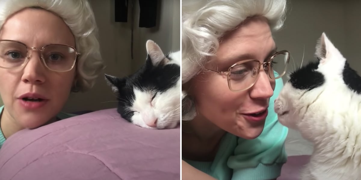 Watch Kate McKinnon's Cat Shine in SNL "Whiskers R We" Skit | PS Pets