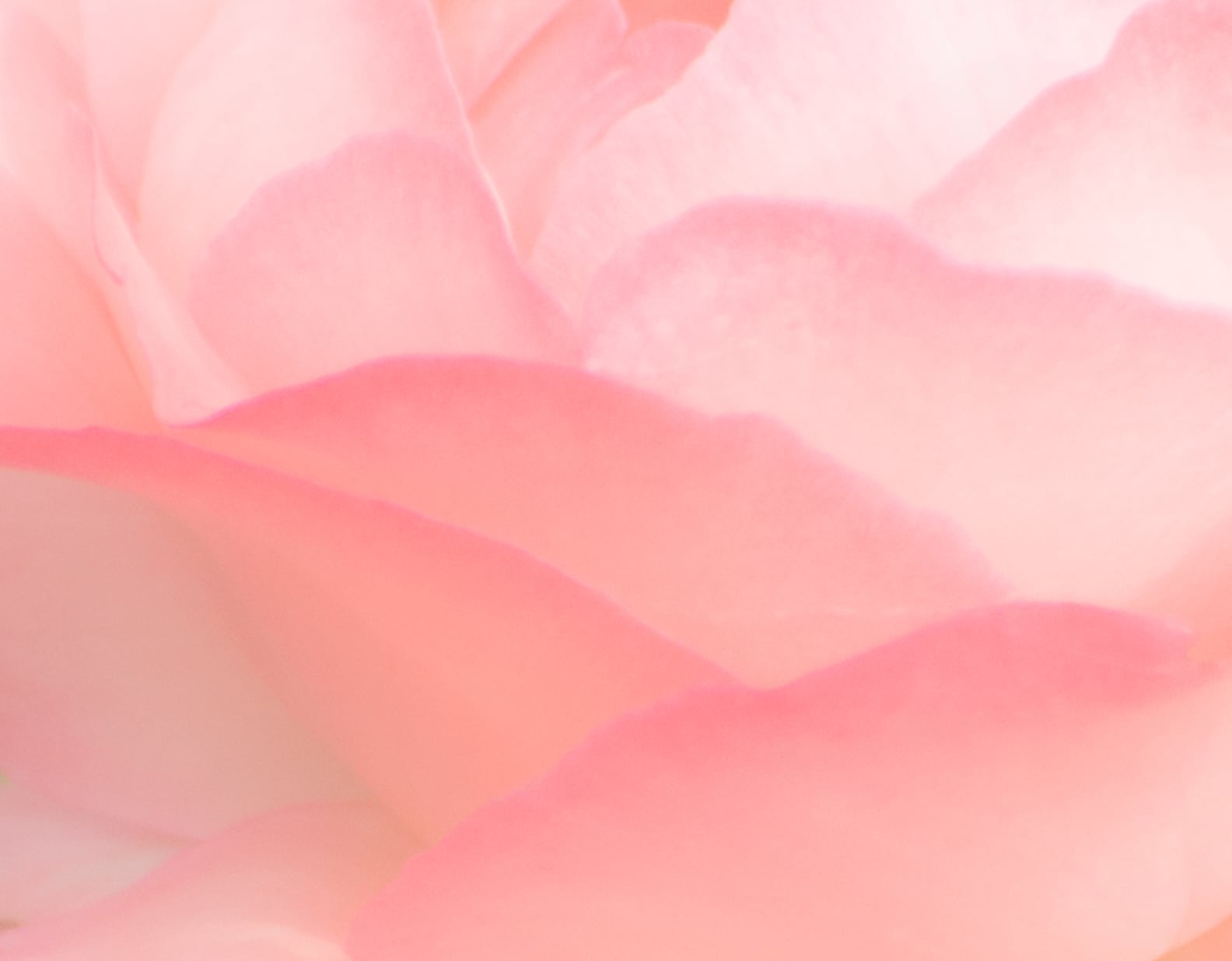 How to Take the Ktestone Color Personality Test | PS Balance