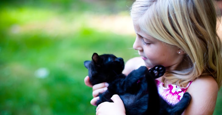 Photos of Kids and Cats | POPSUGAR Family