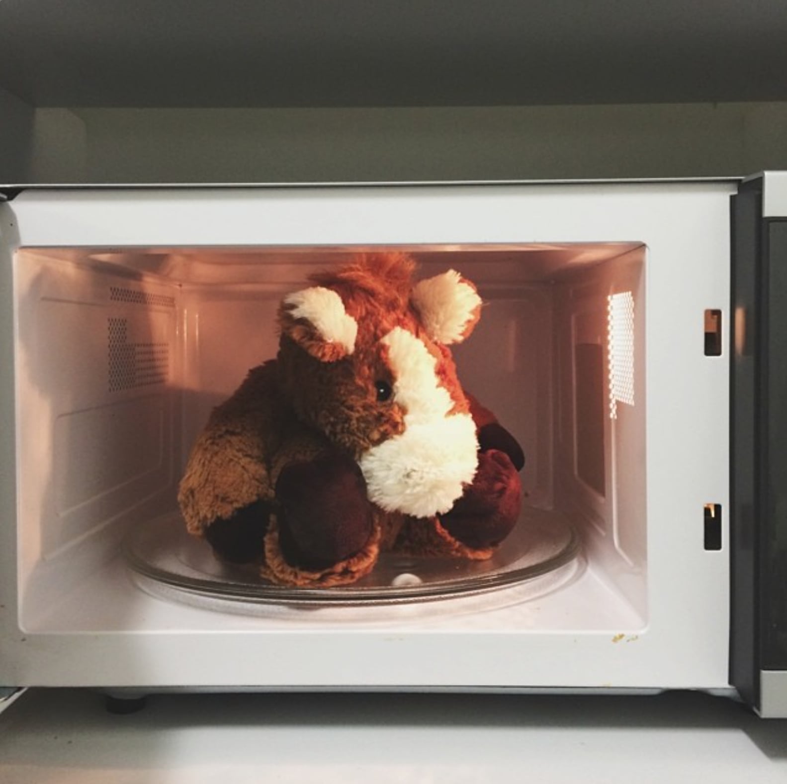 Parents on the Hunt For Misplaced Items | PS Family