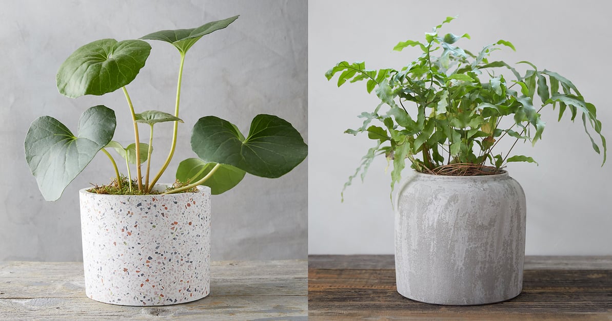 Best Outdoor Planters From Terrain | PS Home