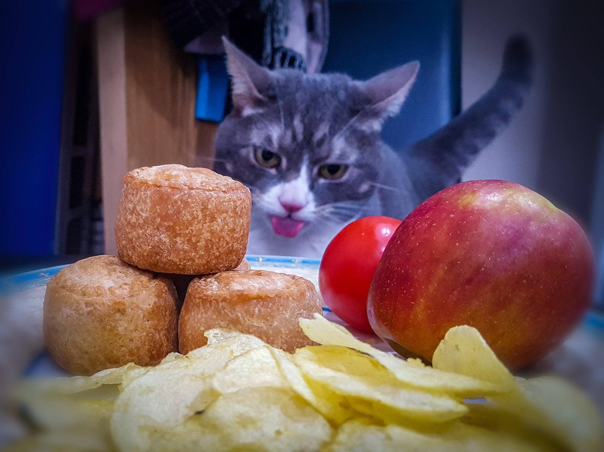 Cat Eating Breakfast