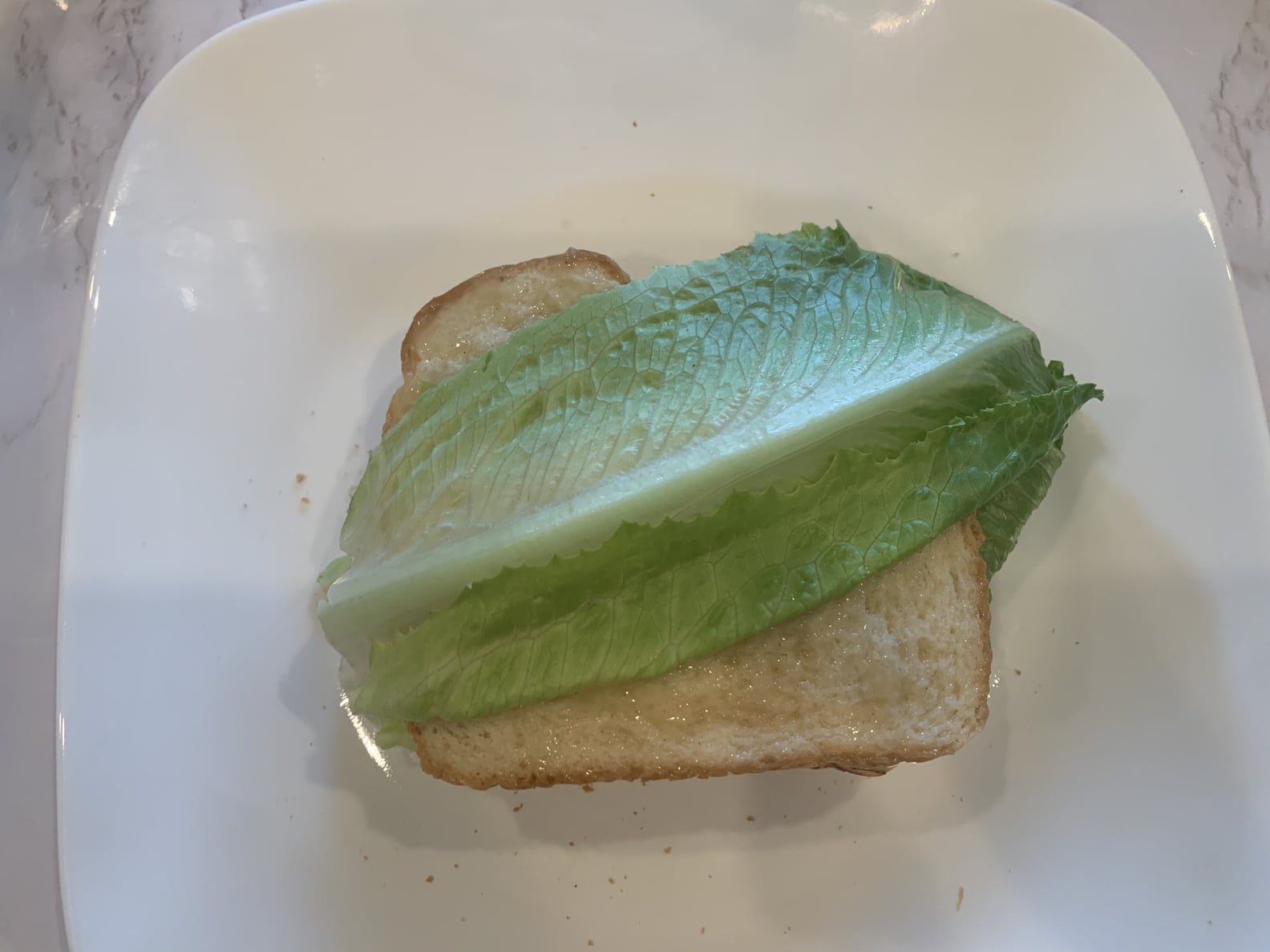 Ross's Moist Maker Sandwich Recipe From Friends | PS Food