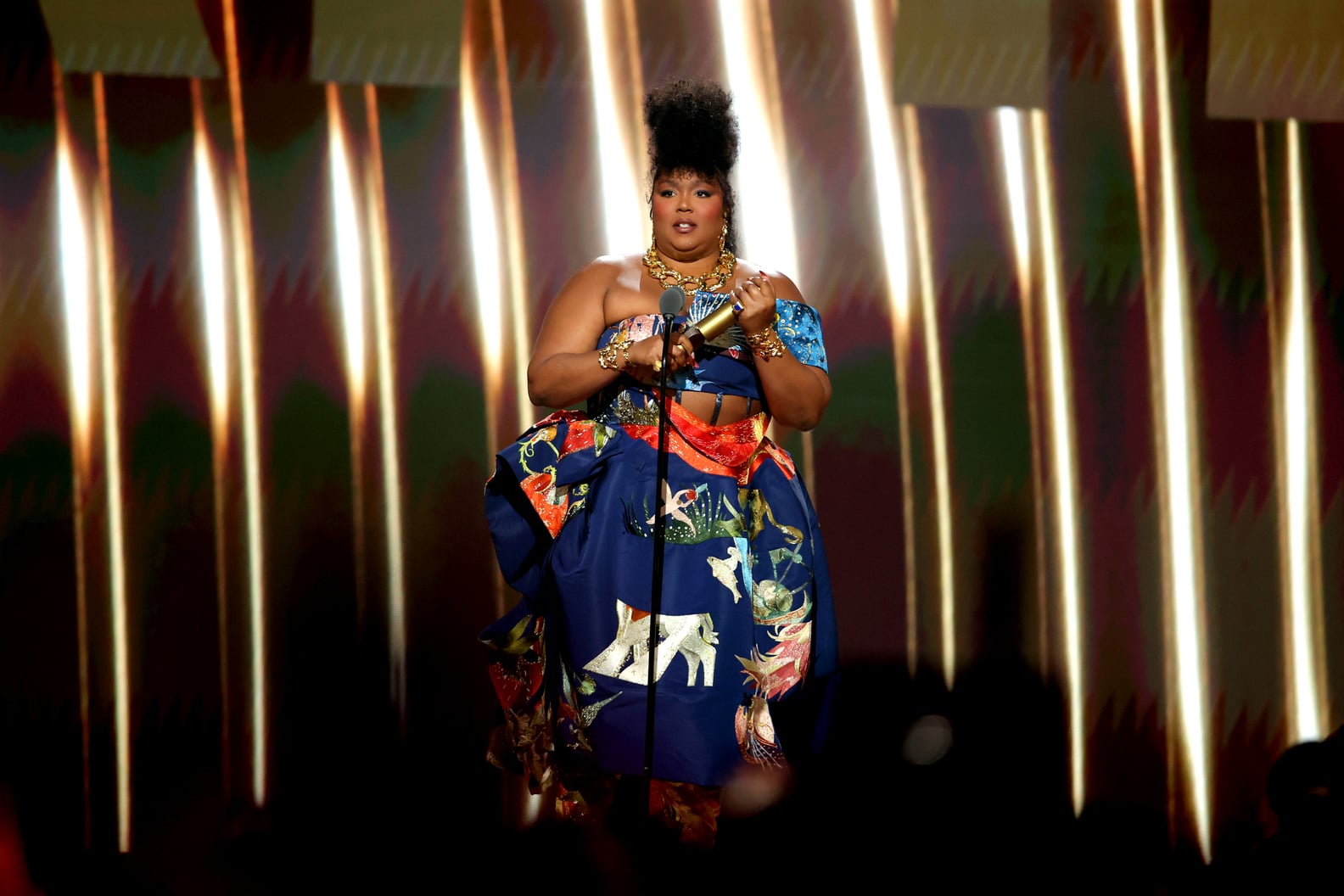 Lizzo's Alexander McQueen Dress at People's Choice Awards | PS Fashion