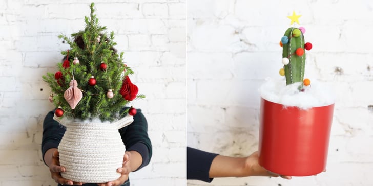 Best Live Tabletop Christmas Trees 2019 | POPSUGAR Home UK