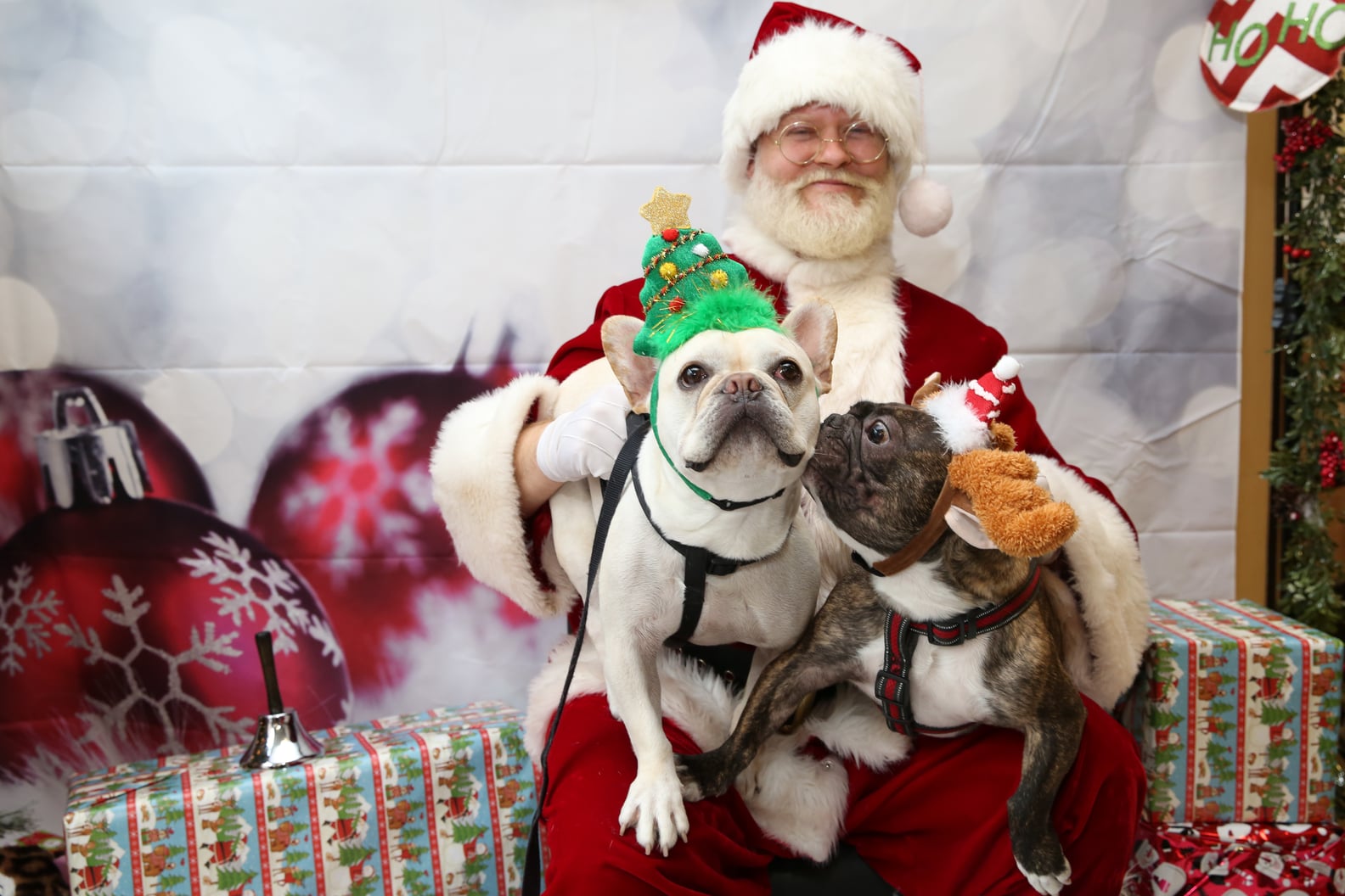 Pets Meeting Santa | PS Pets