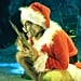 Best Quotes From How the Grinch Stole Christmas | POPSUGAR Entertainment