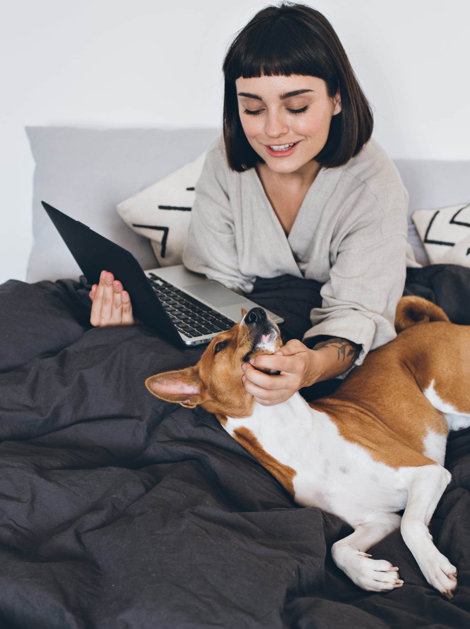 A Pet Owner's Guide to Keeping Your Home Clean and Comfy | PS Pets